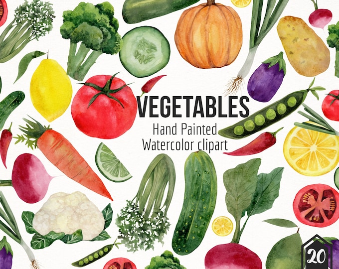 WATERCOLOR CLIPART, Vegetables Clipart, Food, Kitchen, Veggie ...