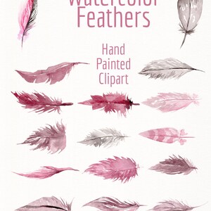 Watercolor Feathers Clipart- Hand Painted Feathers- Feather Graphics ...