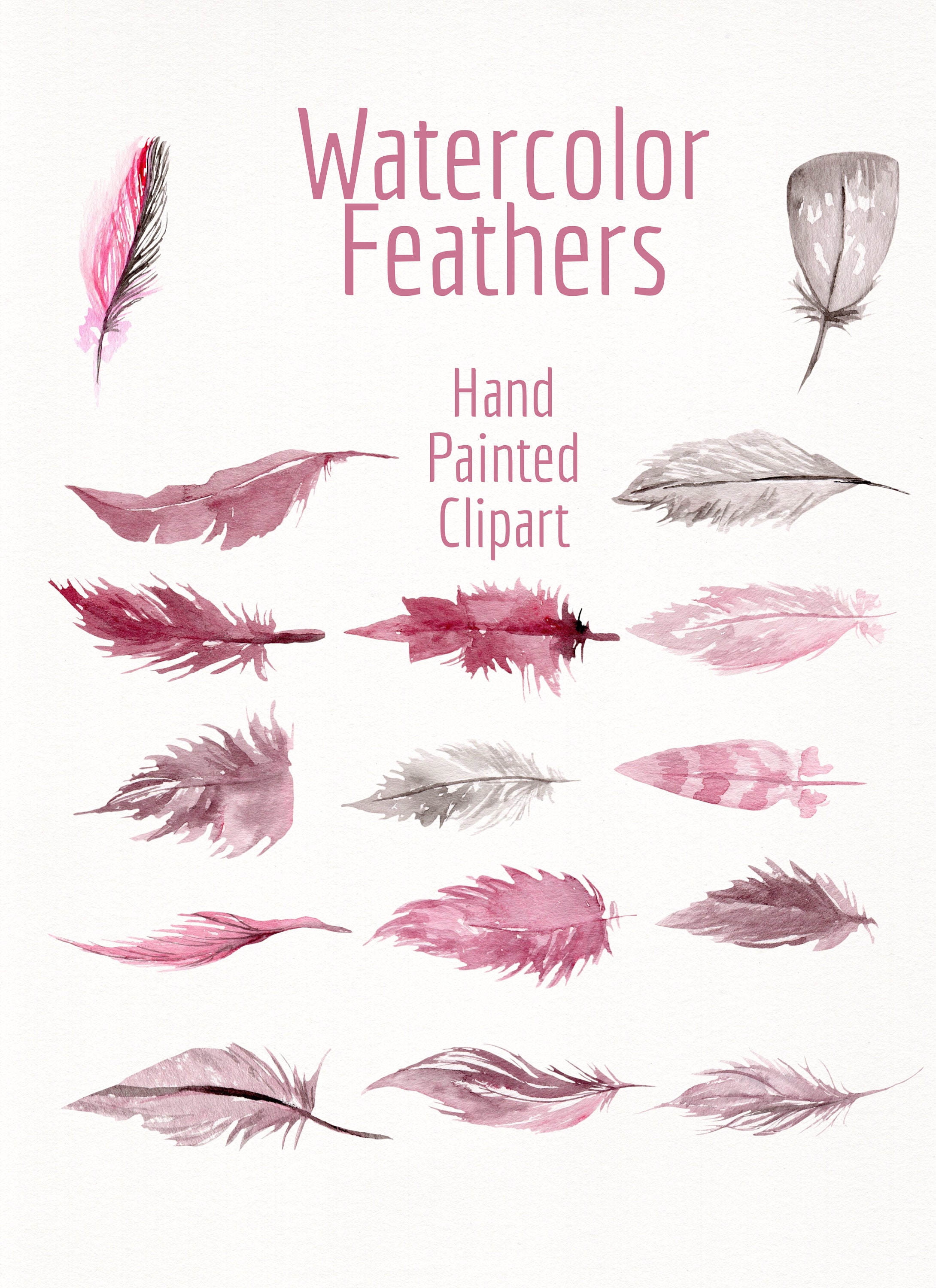 Watercolor Feathers Clipart- Hand Painted Feathers- Feather Graphics ...