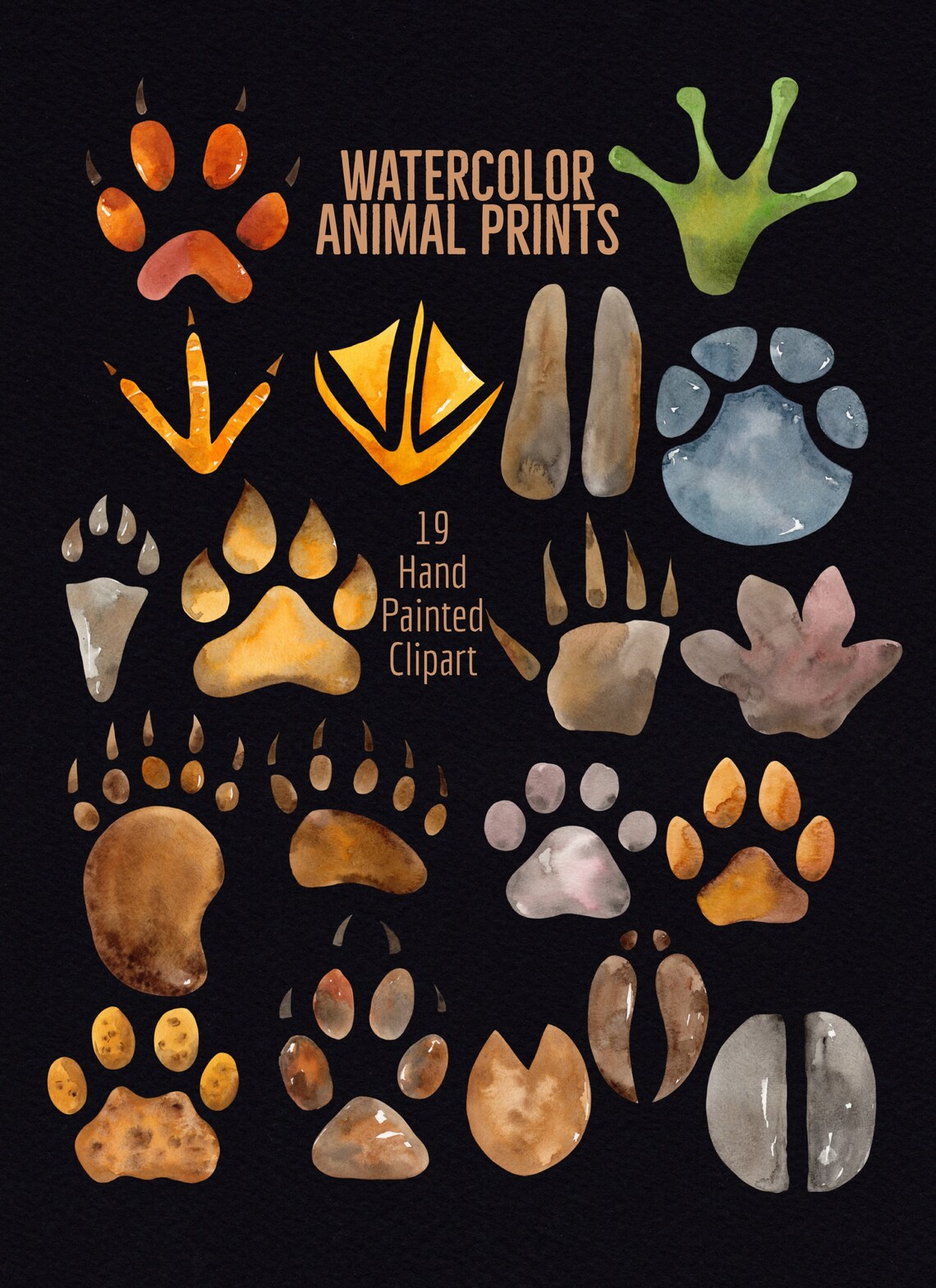 Watercolor Animal Footprints Clipart- Hand Painted PNG Animal Foot ...