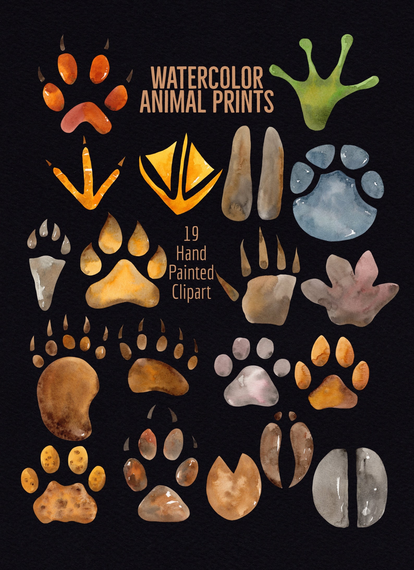 Watercolor Animal Footprints Clipart- Hand Painted PNG Animal Foot ...