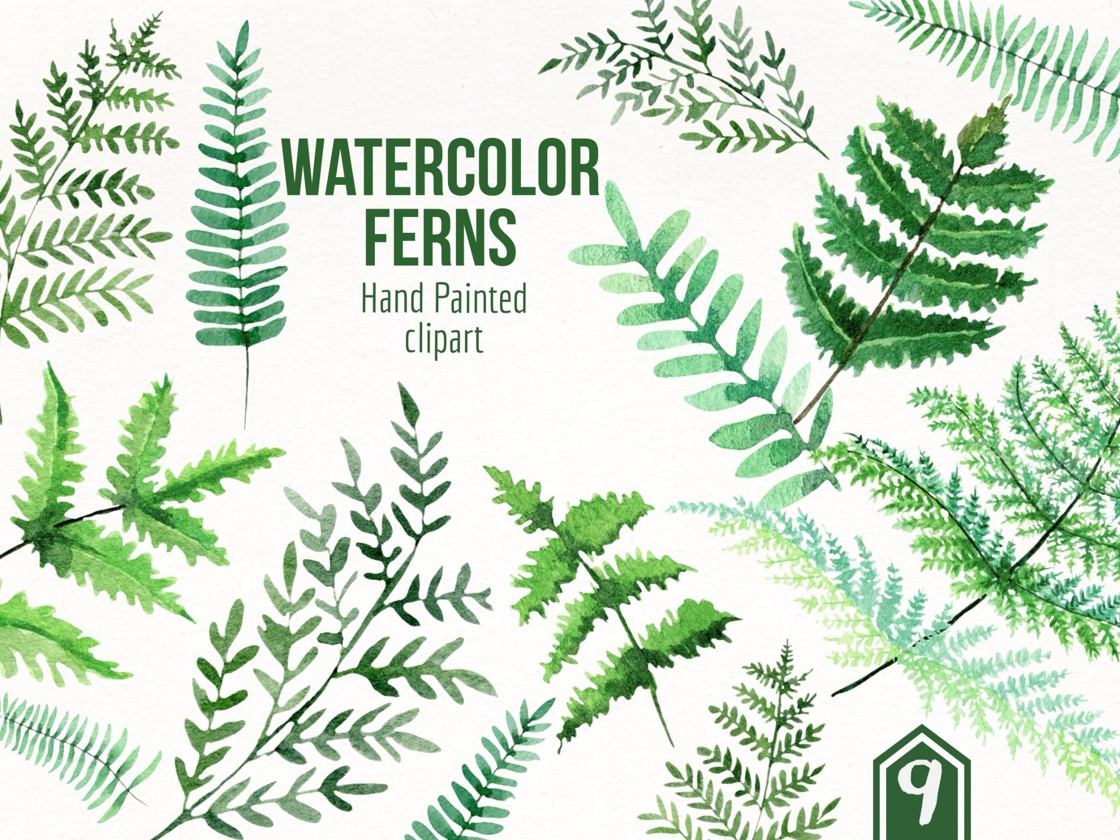 Watercolor Ferns Clipart- Hand Painted Ferns- Ferns Graphic- Greenery ...