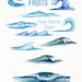 Blue Watercolor Waves Clipart- Hand Painted Waves- Ocean Clipart- Sea ...