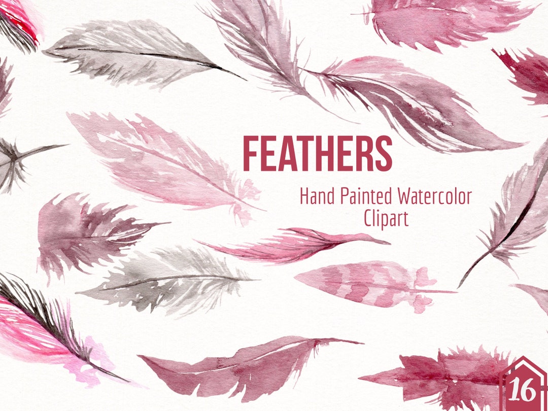 Watercolor Feathers Clipart- Hand Painted Feathers- Feather Graphics ...