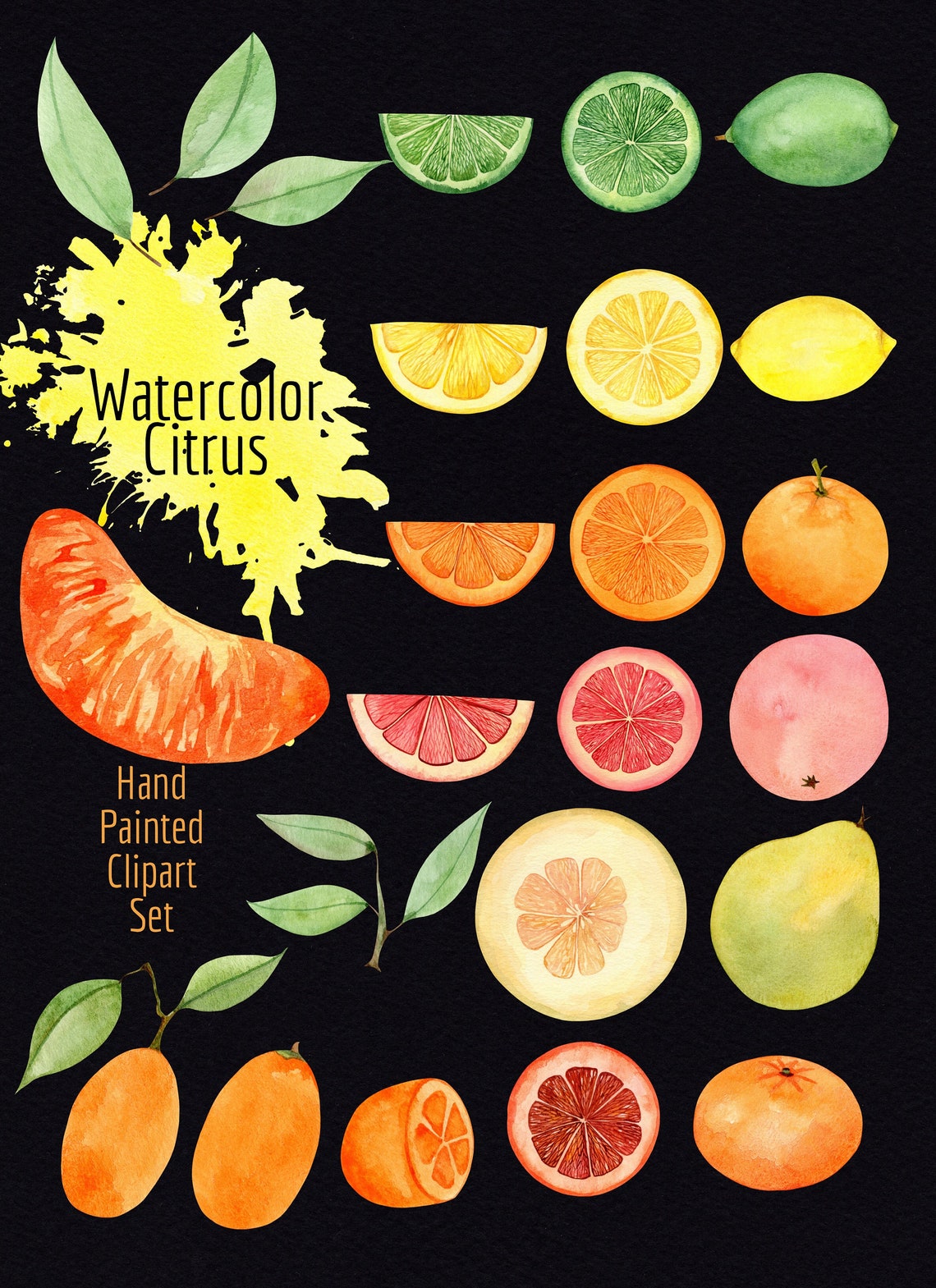 Watercolor Citrus PNG Clipart- Hand Painted Clipart Set- Summer ...
