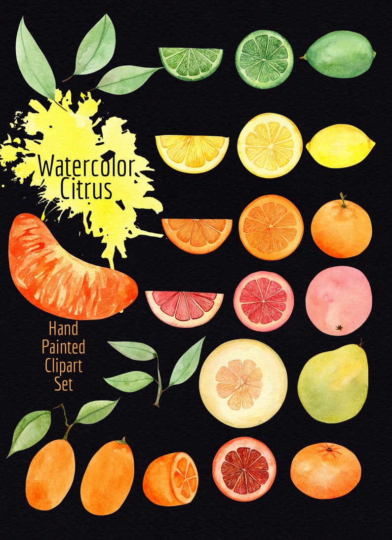 Watercolor Citrus PNG Clipart- Hand Painted Clipart Set- Summer ...