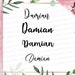 Damian Custom Name SVG Damian Name Svg PNG Design for Shirt - Etsy