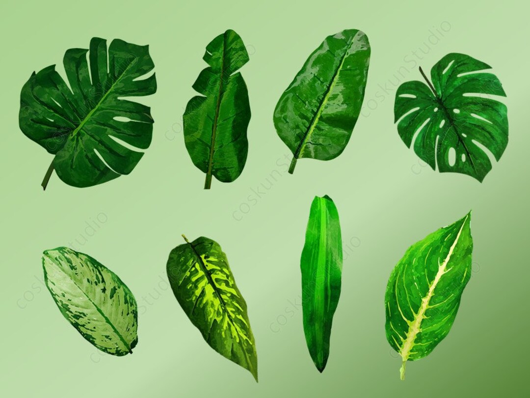 Watercolor Leaves Clipart PNG Tropical Leaf, Tropical Clipart, Greenery ...
