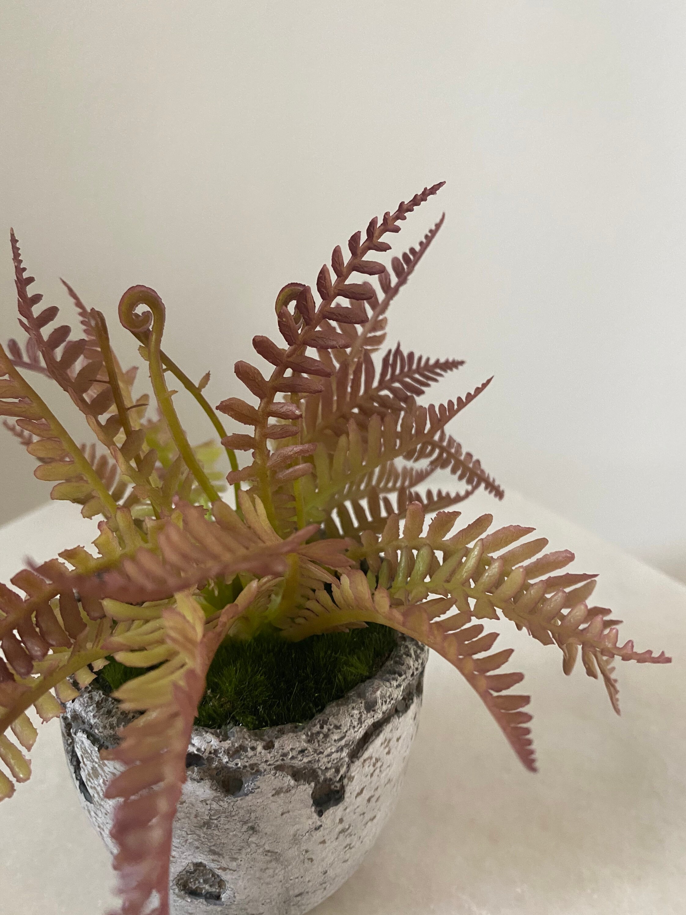 Faux Fern Decoration Green Arrangement Home Decoration - Etsy.de