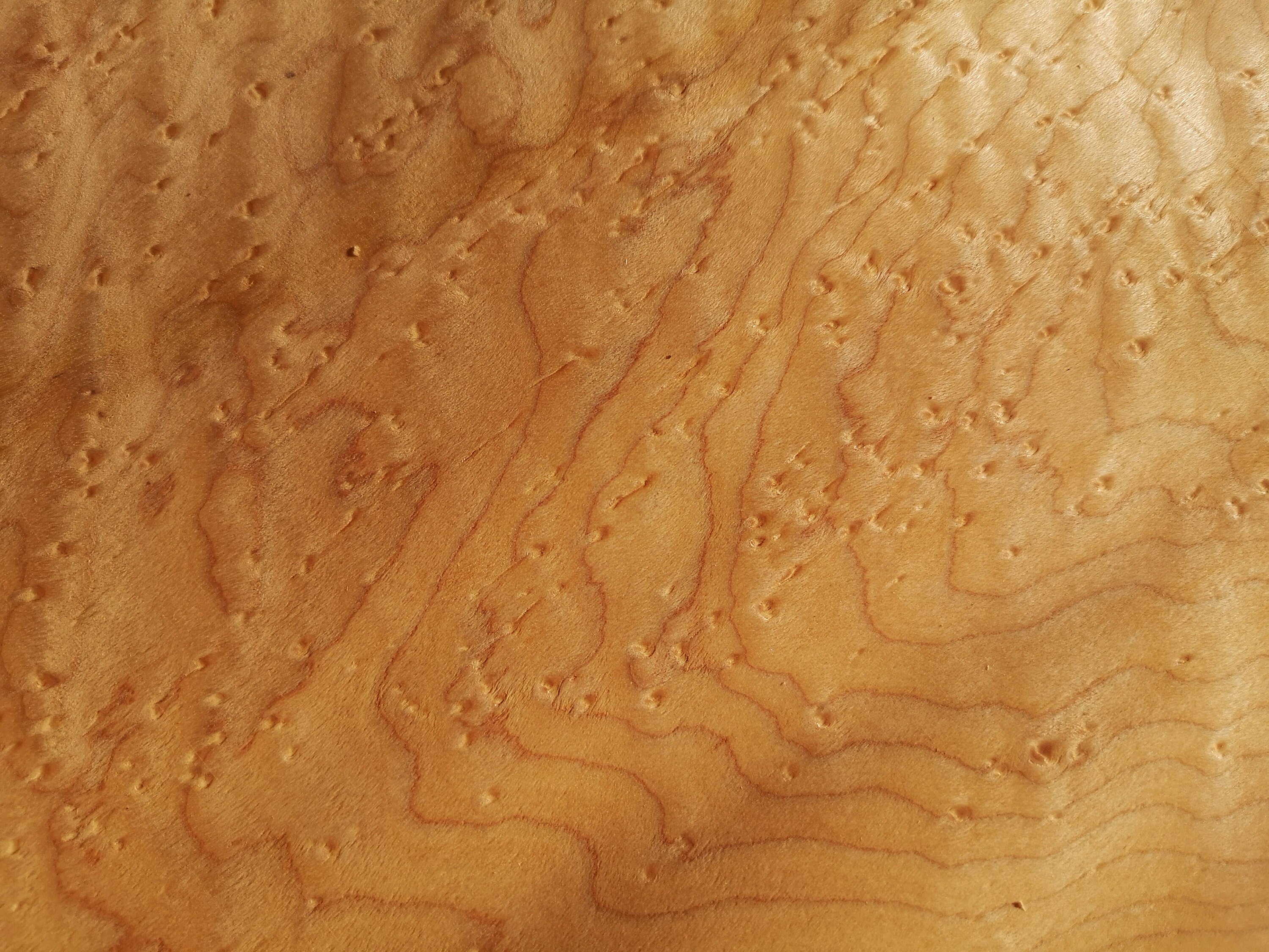 Bird's eye maple veneer with knots pattern raw wood | Etsy