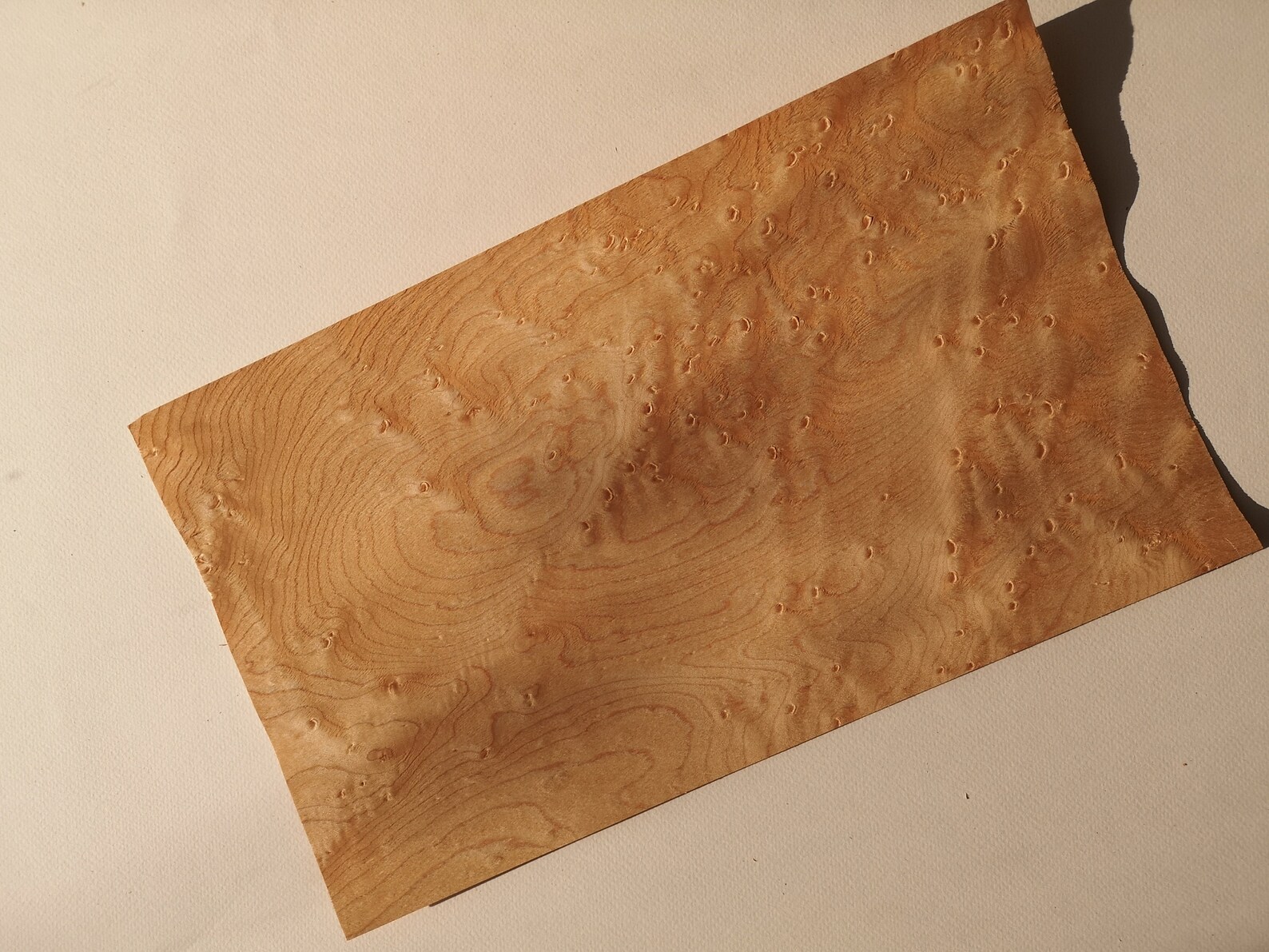 Bird's eye maple veneer with stripes pattern natural wood | Etsy