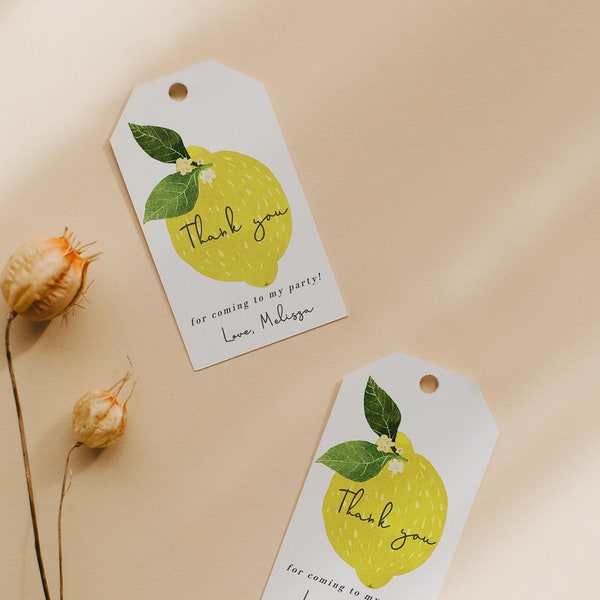 Pink Lemonade Party - Etsy