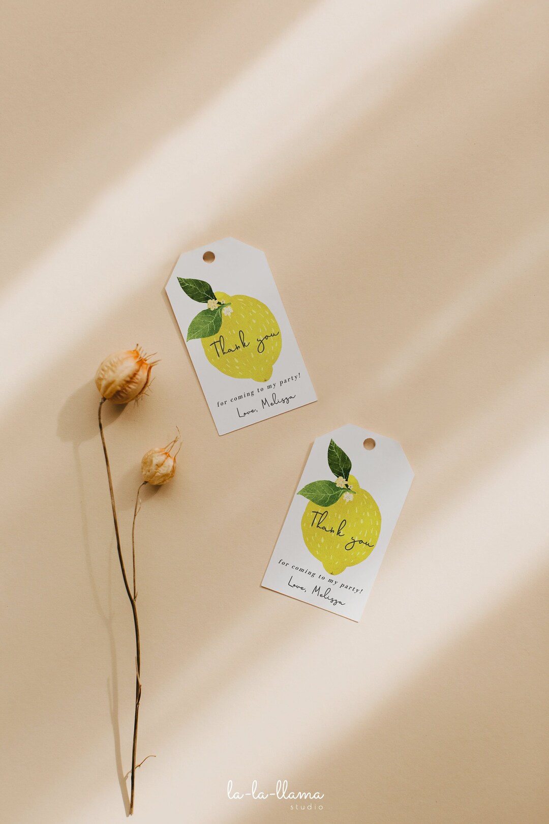 Lemons Birthday Favor Tags Template Sunshine Lemonade Fun - Etsy