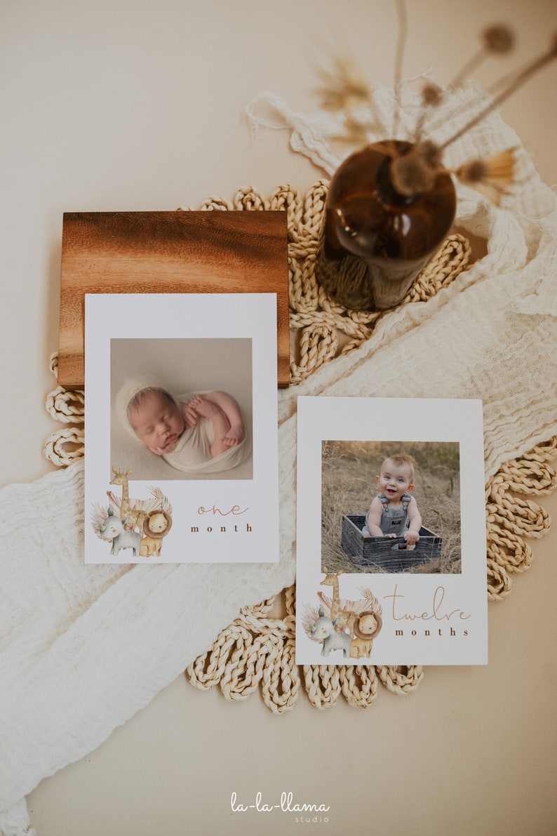 EDITABLE Boho Safari Monthly Photo Banner Wild One Monthly - Etsy