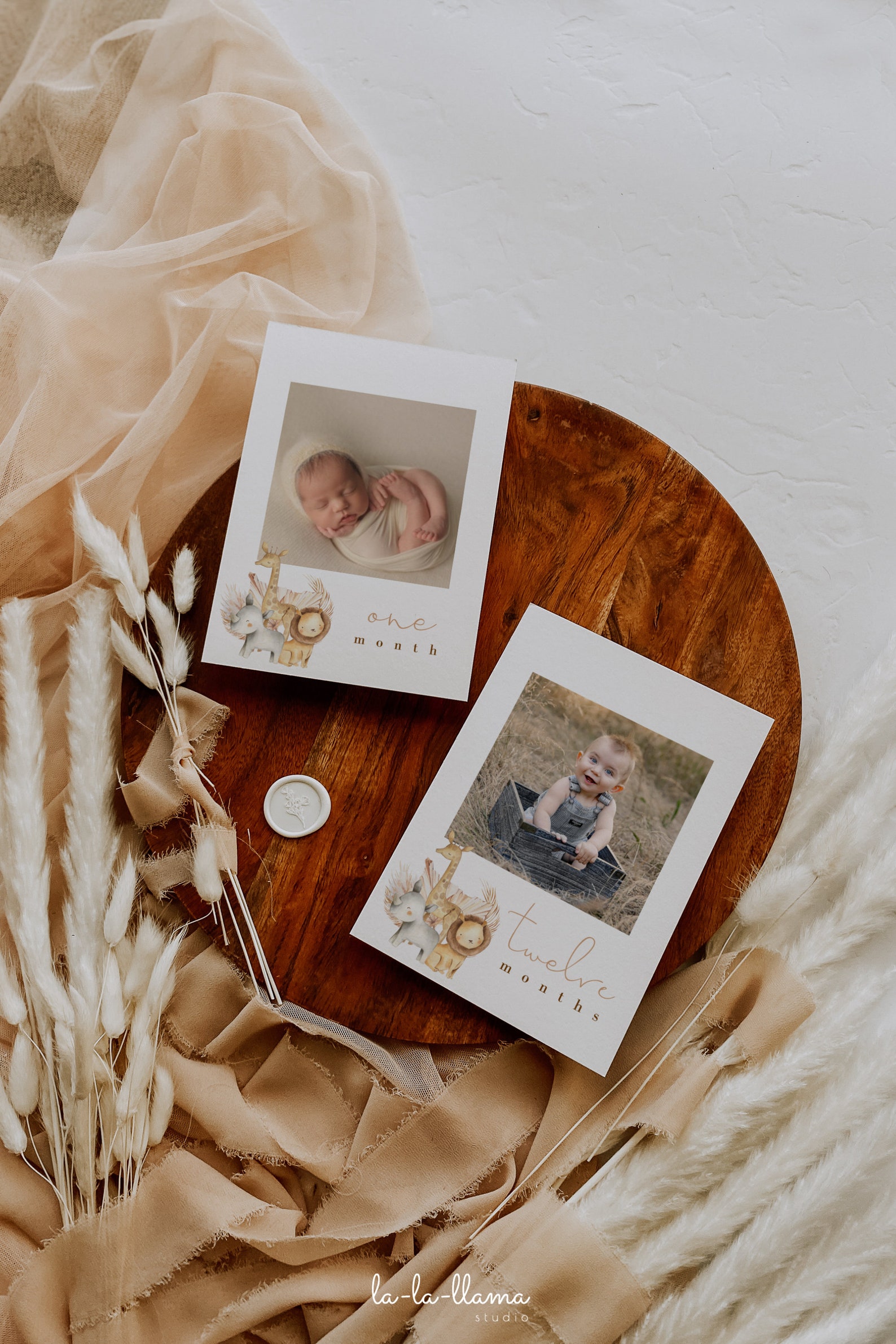 EDITABLE Boho Safari Monthly Photo Banner Wild One Monthly | Etsy