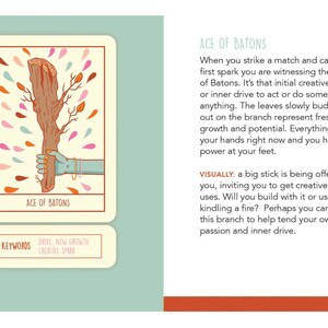 Squid Cake Marseille Tarot Deck, 78 Tarot Cards & Guidebook, Available ...