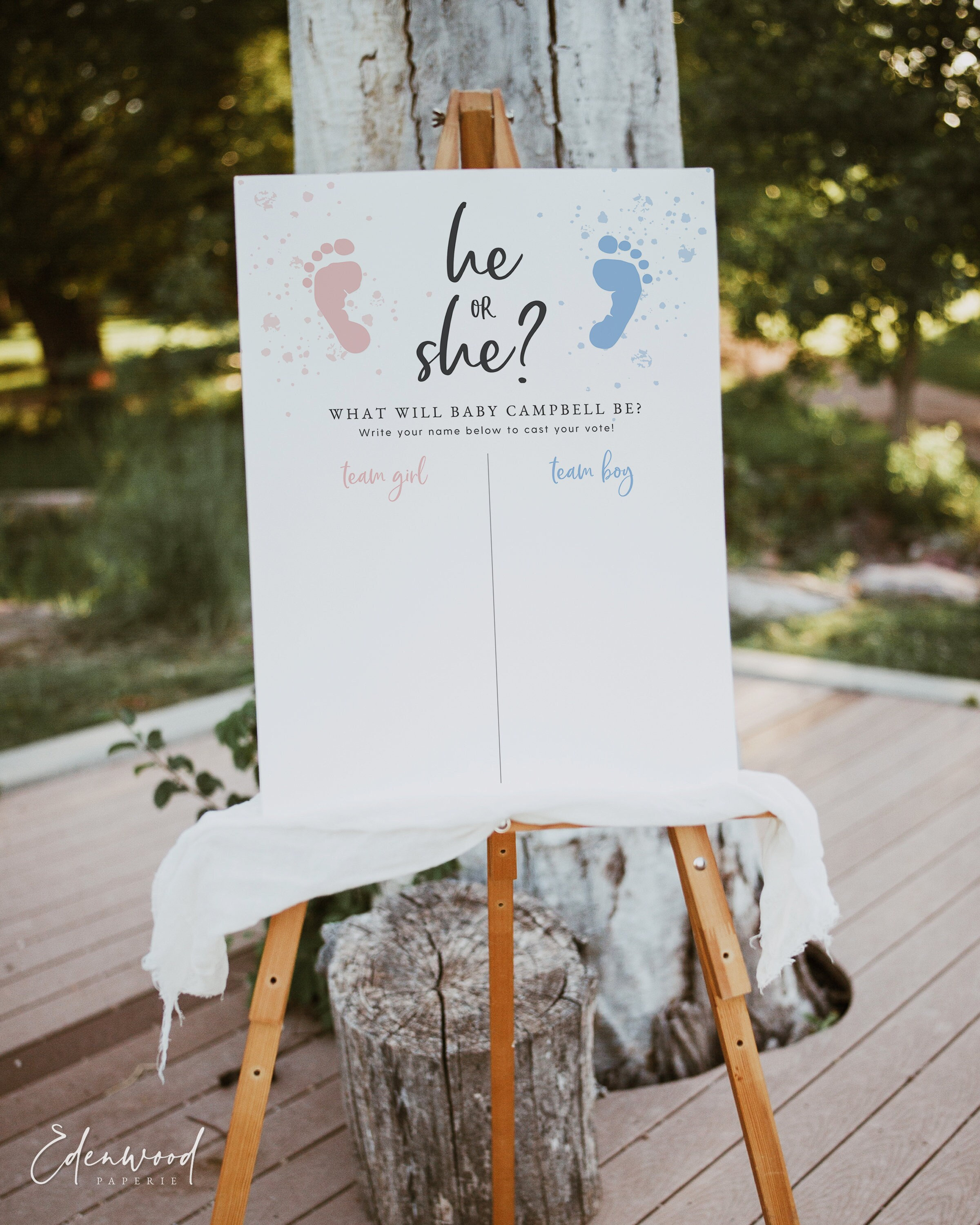 Gender Reveal Cast Your Vote Game, Gender Prediction Game, Baby Gender ...