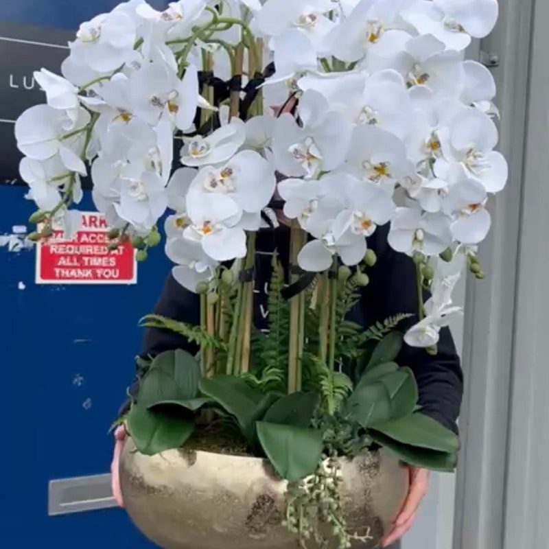 Tall Faux Orchids and Vase - Etsy