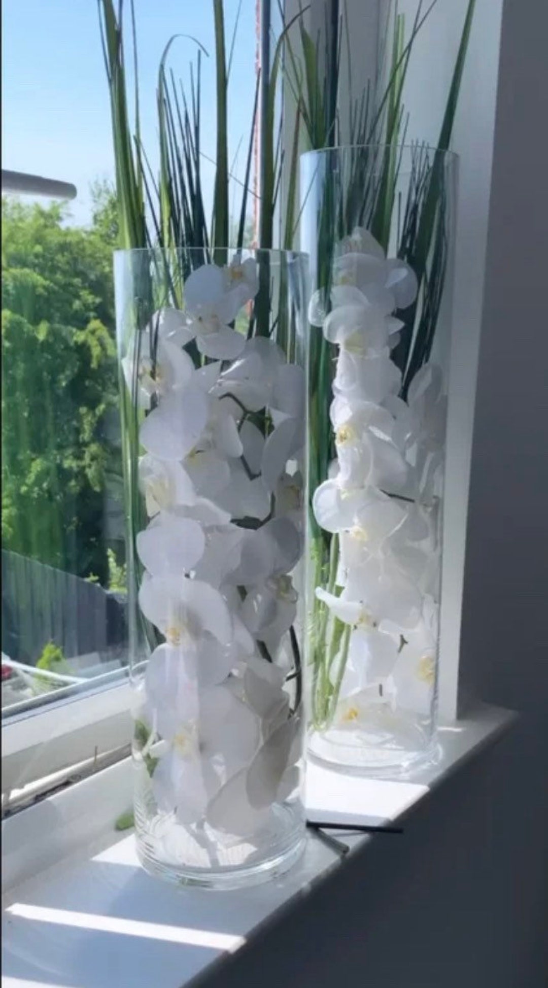 Artificial White Orchid for Windowsill or Table, Glass Cylinder Vase ...
