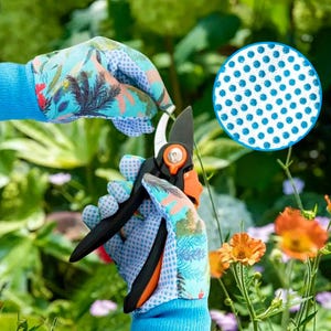 Grafted Sweet Southern Cherry Tree: Fruiting Age, Semi-dwarf - Etsy