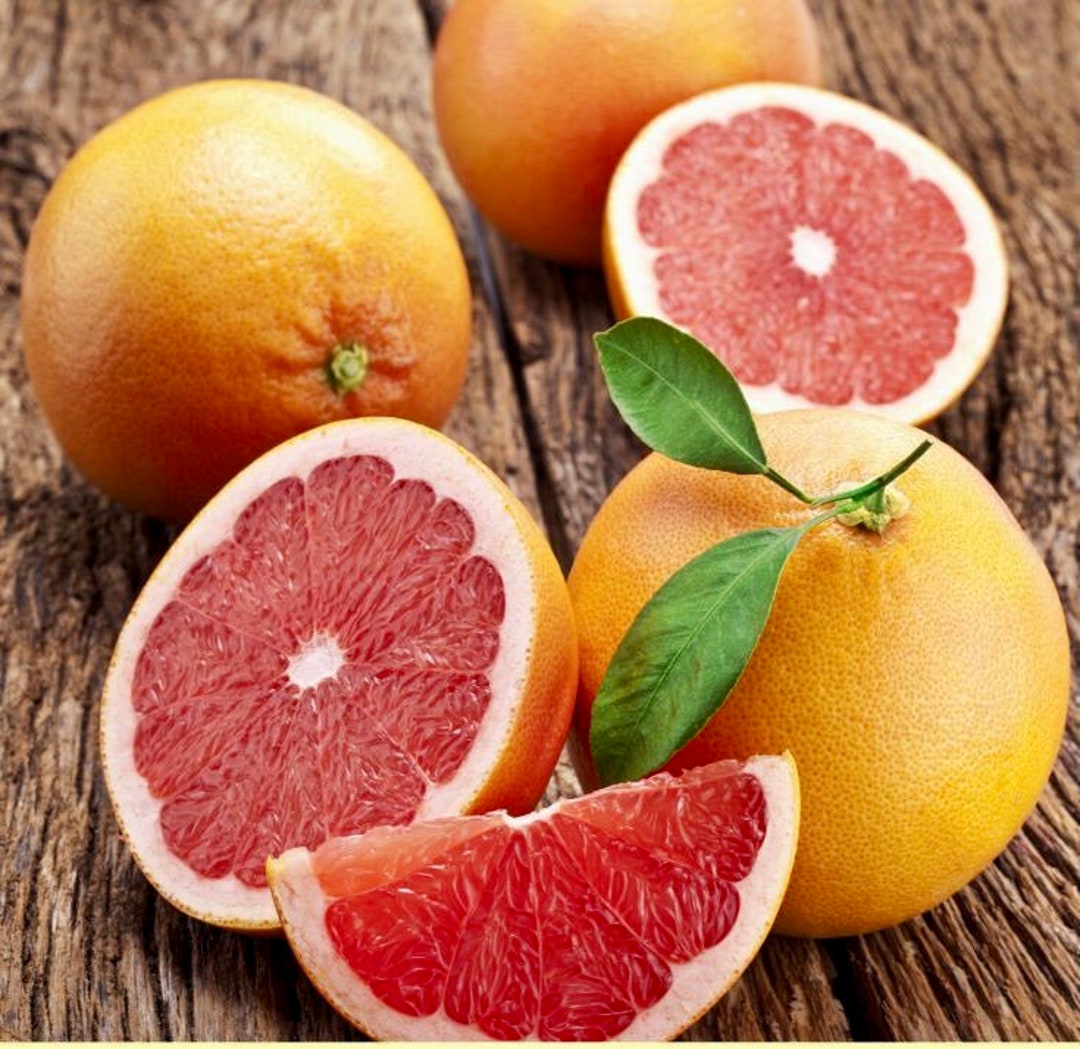 Rio Red Grapefruit Tree: Sweet, Seedless Citrus (fruiting Age) - Etsy