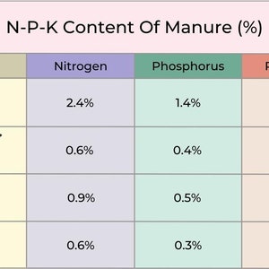 Grafted Sweet Southern Cherry Tree: Fruiting Age, Semi-dwarf - Etsy