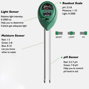 Grafted Sweet Southern Cherry Tree: Fruiting Age, Semi-dwarf - Etsy