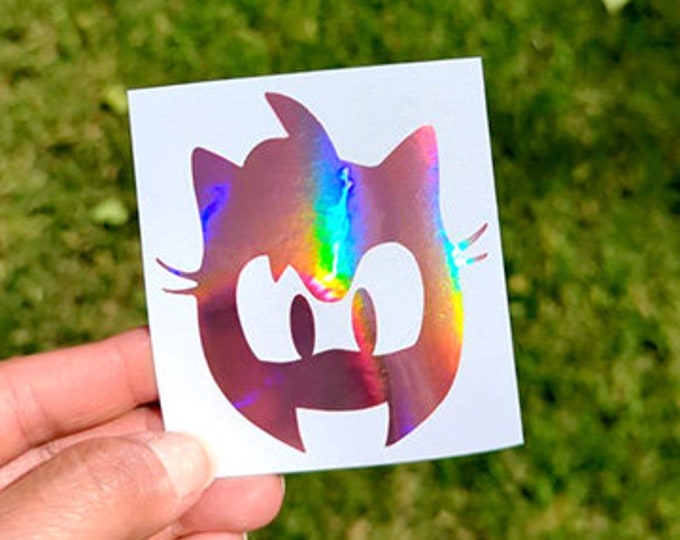 Sonic & Amy Rose Sonic the Hedgehog Sticker, Laptop Sticker, Water ...