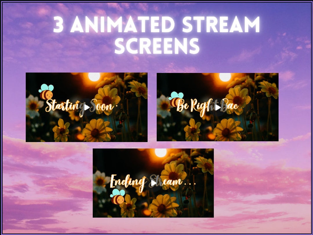 Animated Stream Overlay Pack for OBS , Streamlabs Etc. - Etsy
