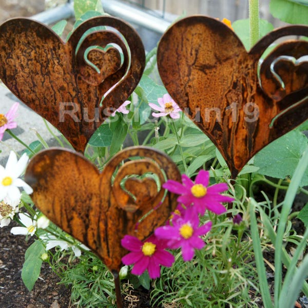 Rose Decor - Etsy