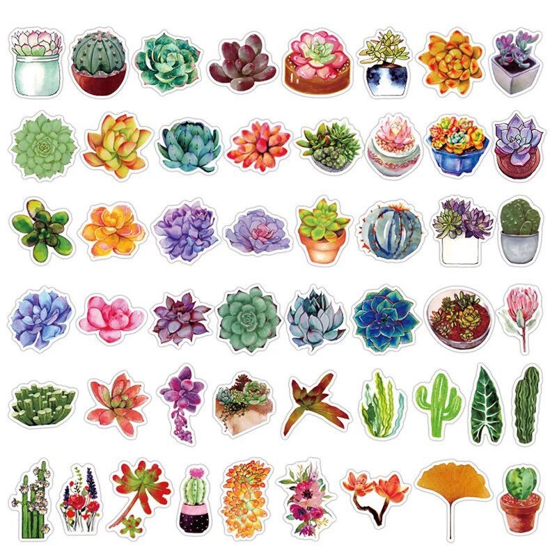 Mystery VSCO Plant Sticker Pack Succulent Stickers Catctus | Etsy