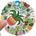 Mystery VSCO Plant Sticker Pack Succulent Stickers Catctus - Etsy