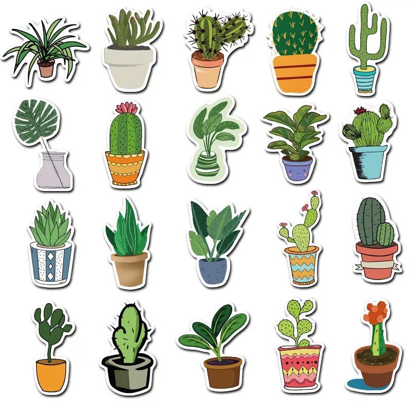 Mystery VSCO Plant Sticker Pack Succulent Stickers Catctus | Etsy