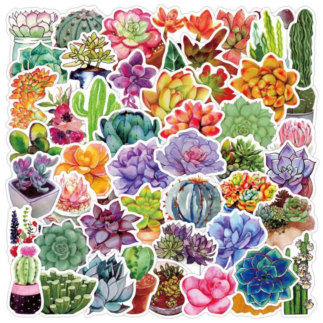 Mystery VSCO Plant Sticker Pack Succulent Stickers Catctus Sticker Pack ...
