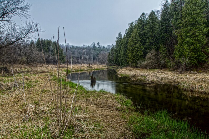 Landscape, Nature, River, Forest, Field, Ontario, Canada, Pixeltrot ...