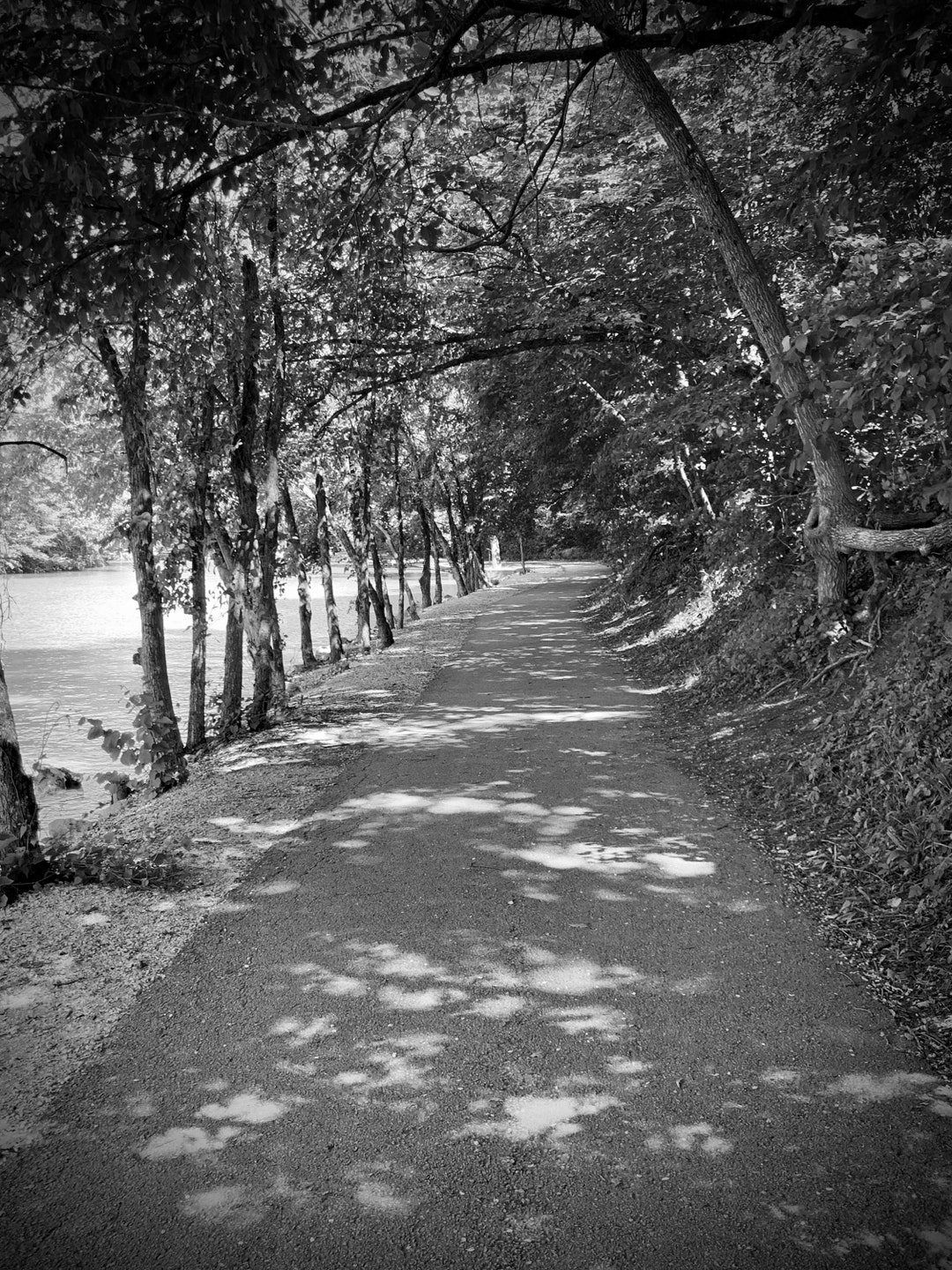 Black and White Photographic Image of Shaded Path Along Peaceful Water ...