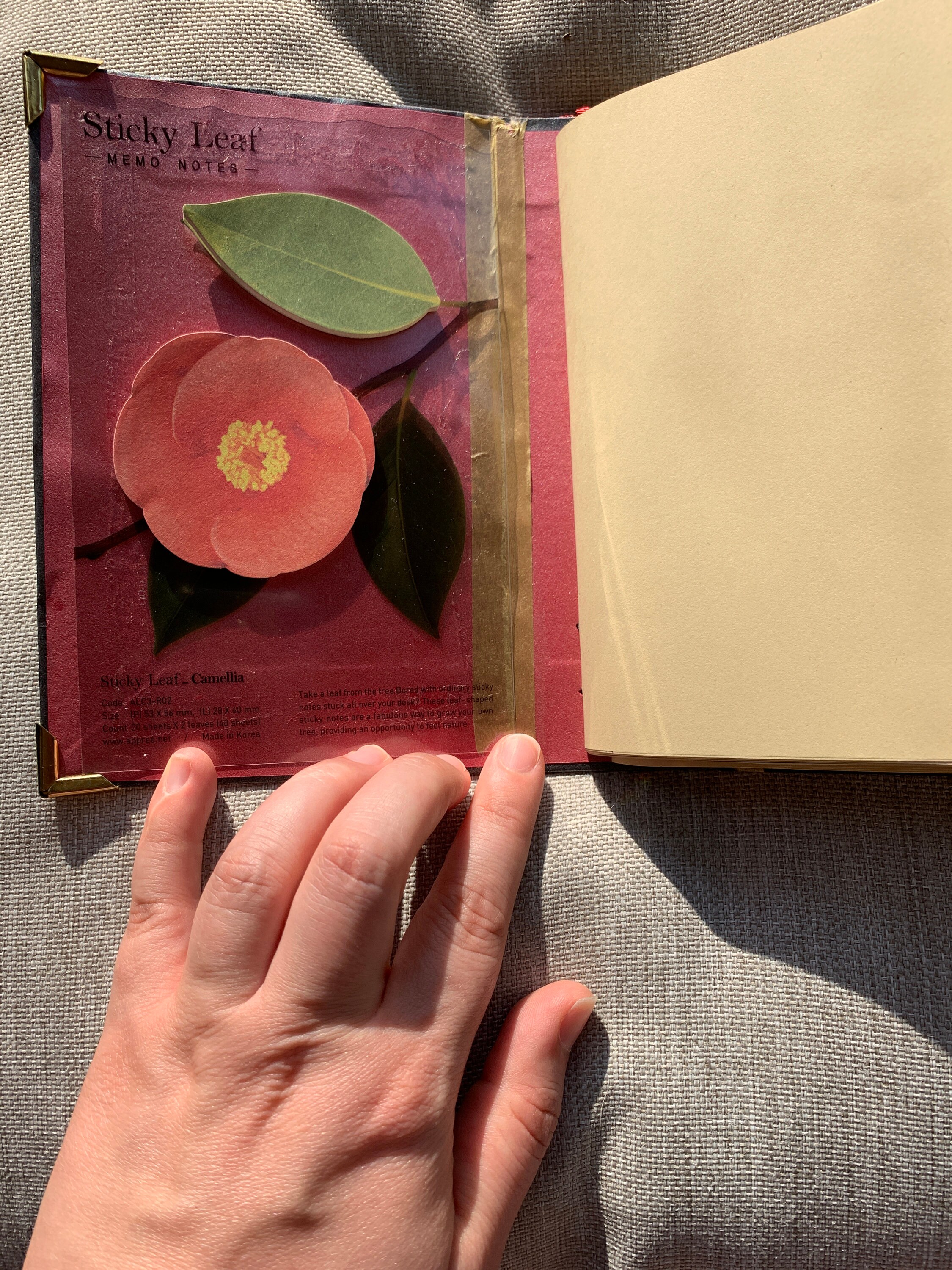 Camellia Recycled Cardboard Notebook Small - Etsy