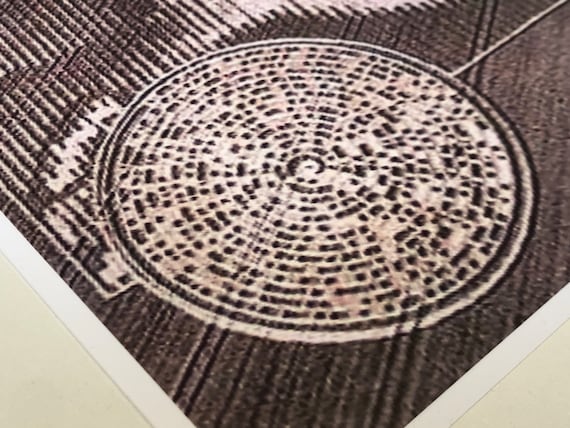 Alien Crop Circle Response