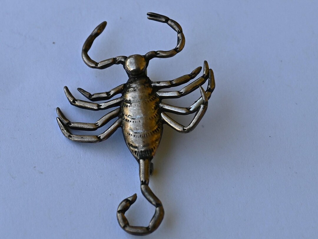 Stunning Sterling Silver Scorpion Brooch or Pin beautiful Condition 5.6 ...