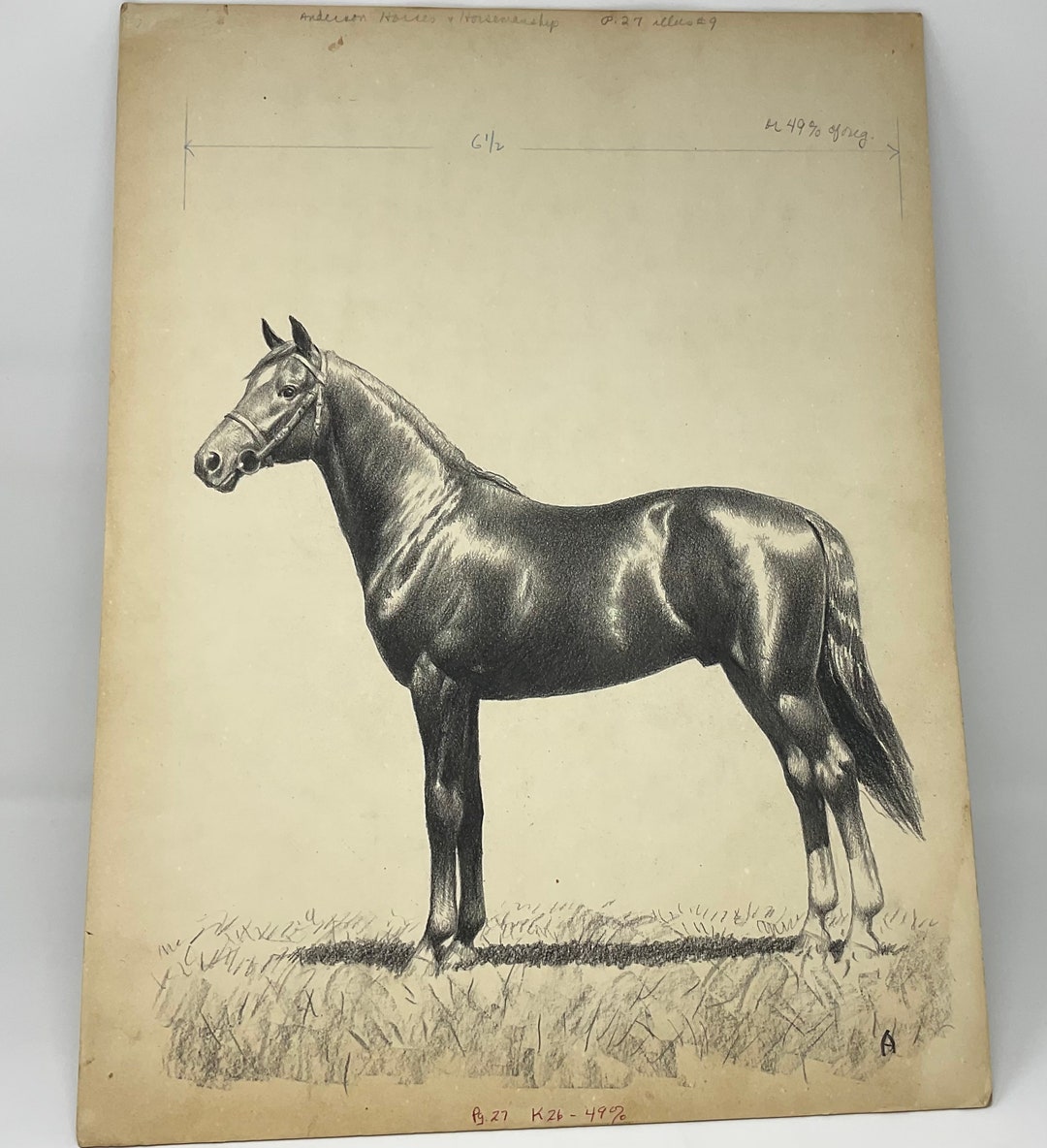 C.W. ANDERSON Large Original Illustration for Horses and - Etsy