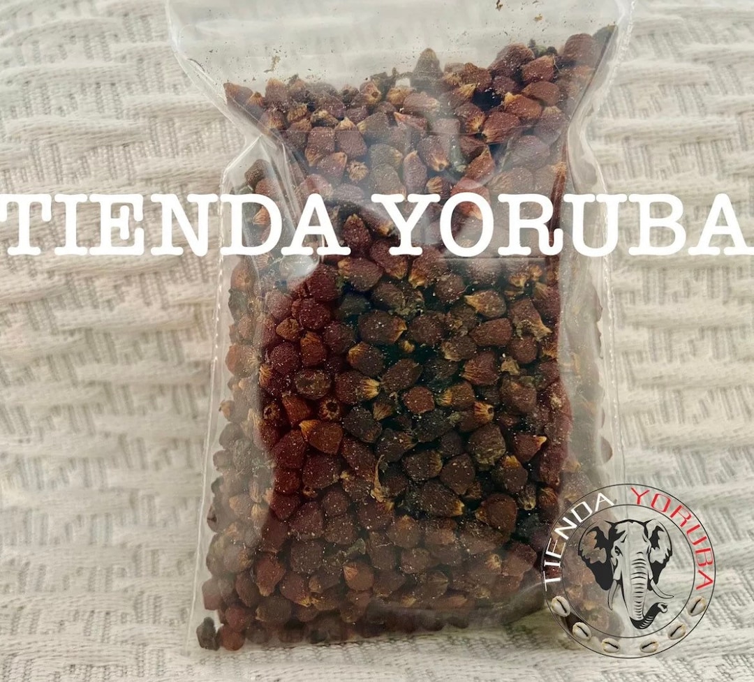 Pimienta De Guinea 1 Oz , Atare , Pepper Guinea , Paradise Seed , Osha ...