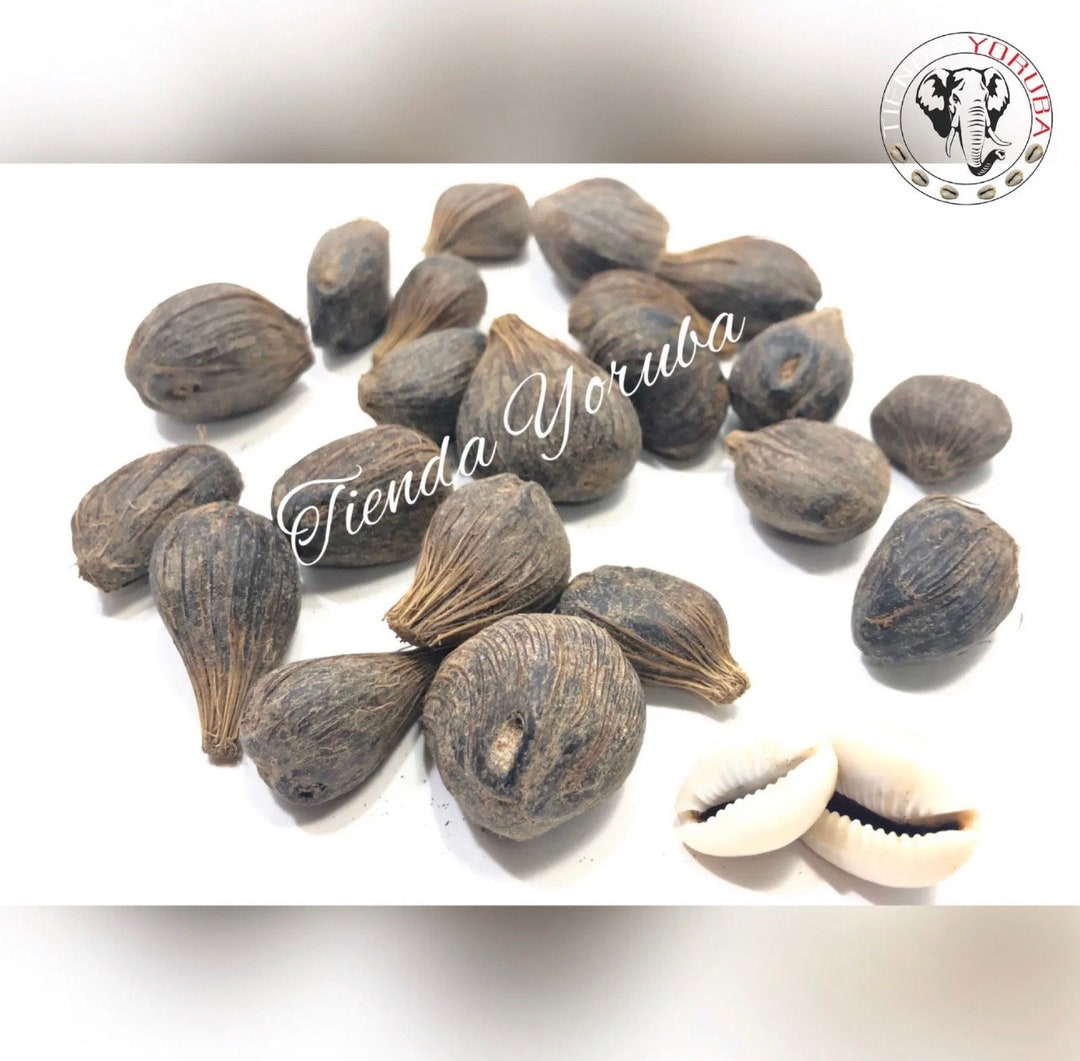 Mano De 21 Ikines 3 Ojos | Hand 21 Inkines 3 Eyes | Orunmila Ifa Orula ...