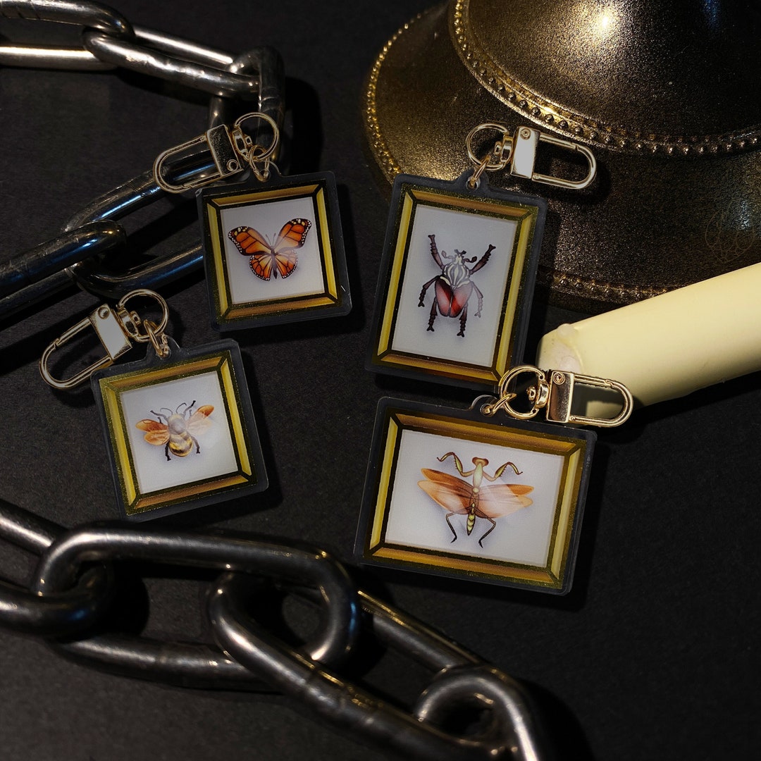 Framed Pinned Bug Display Acrylic Charms/keychains Bee, Goliath Beetle ...