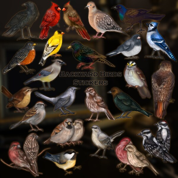 Bird Species Stickers - Etsy