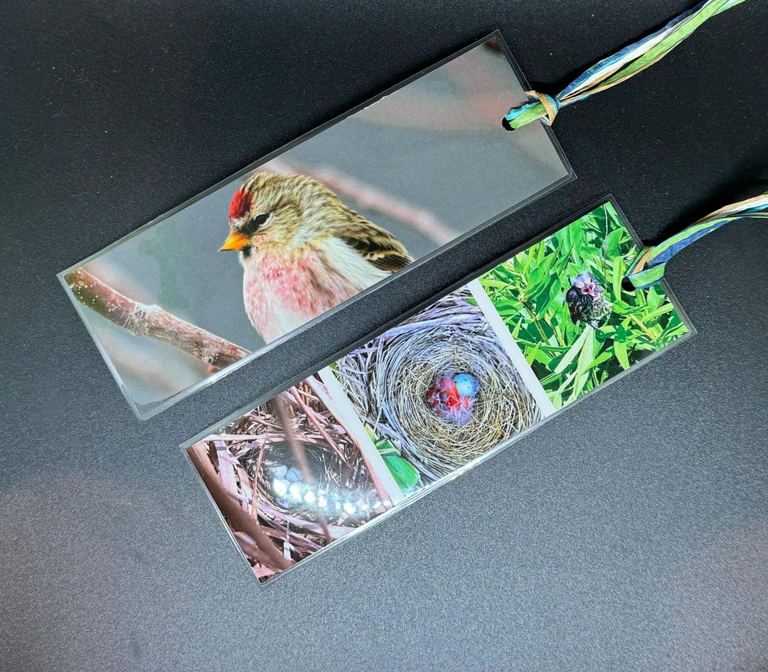 Bird Upcycled Magazine Bookmark (set of 2) - Etsy