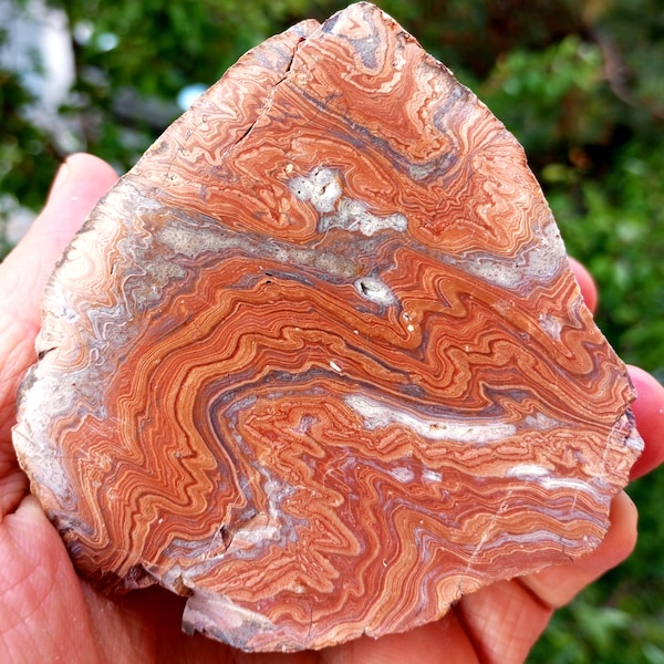 Banded Jasper - Etsy