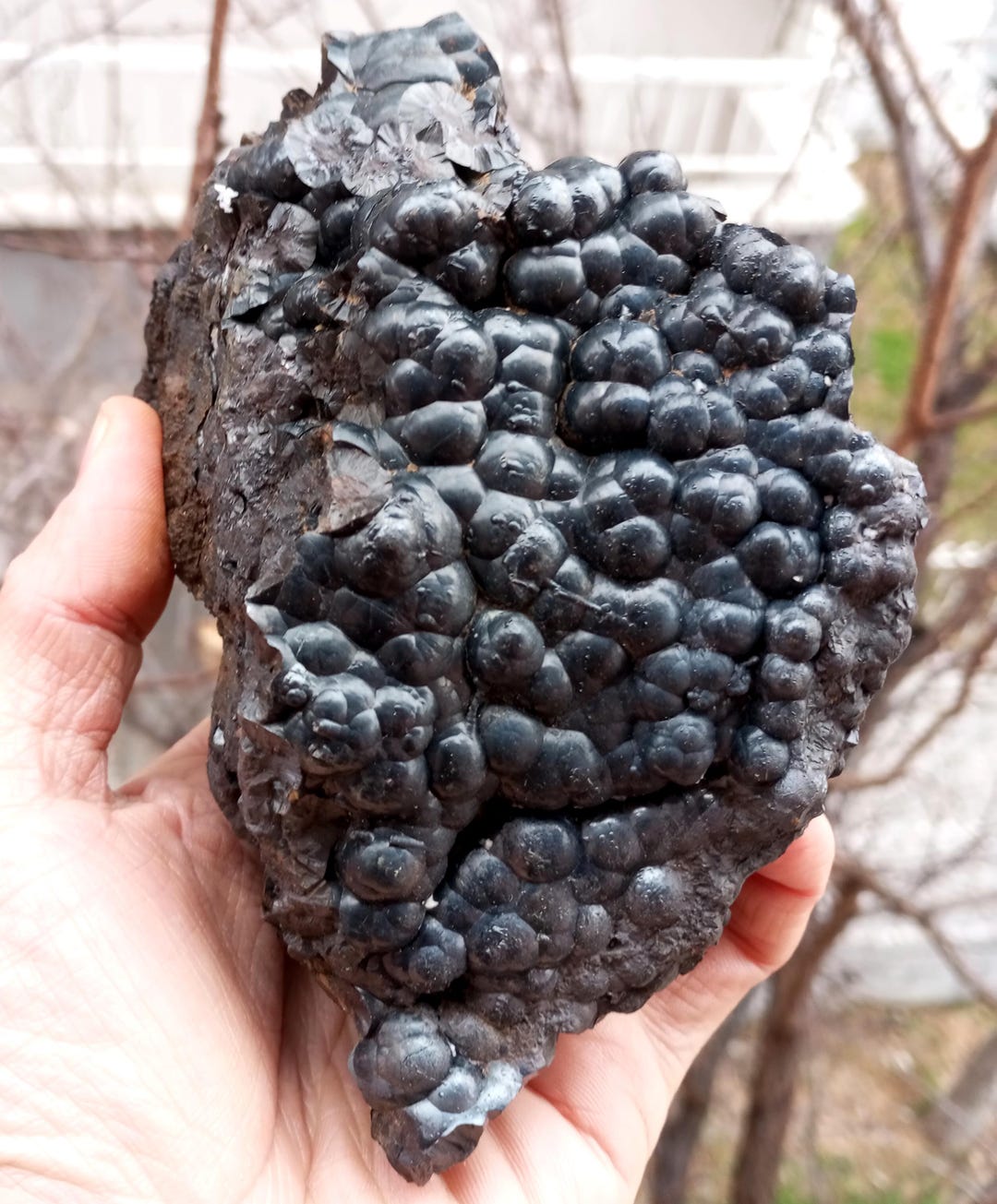 Beautiful Botryoidal Kidney Iron Ore - Etsy