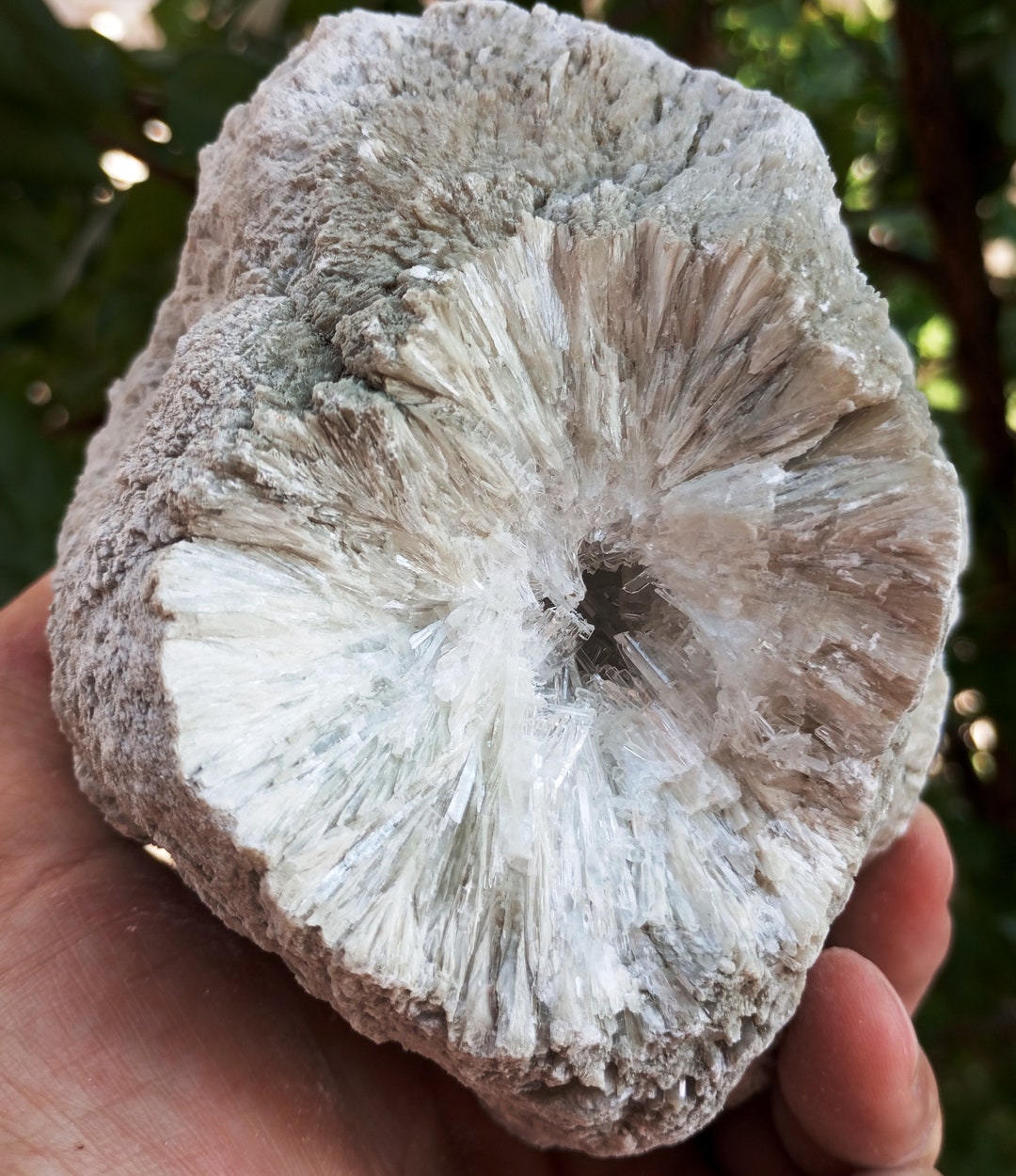 Marvelous Acicular Crystals Hydroboracite Boron Sun Uv Reactive ...