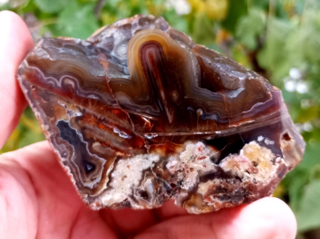 Mirror Polished Botryoidal Lace Agate Pair - Etsy