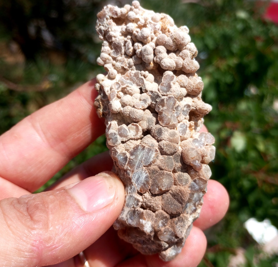 Rare Brown Wavellite Crystals - Etsy